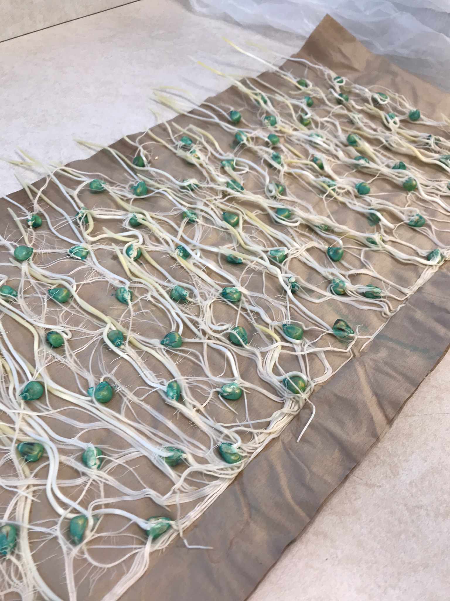 Quality Analysis - Hubner Industries